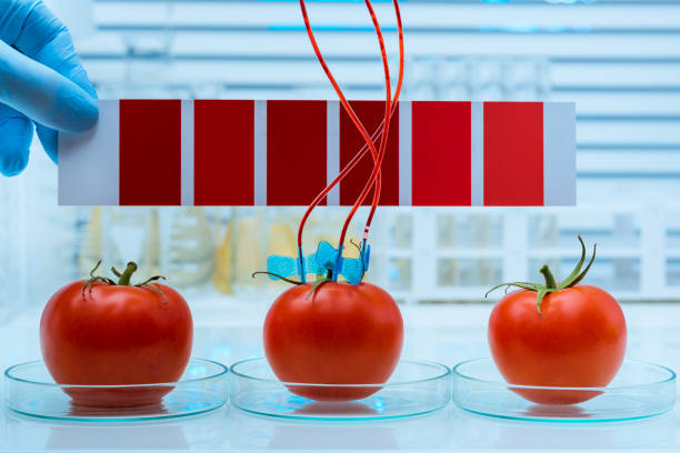 The Truth About Artificial Colors: Exploring the Pros and Cons of FD&C ...